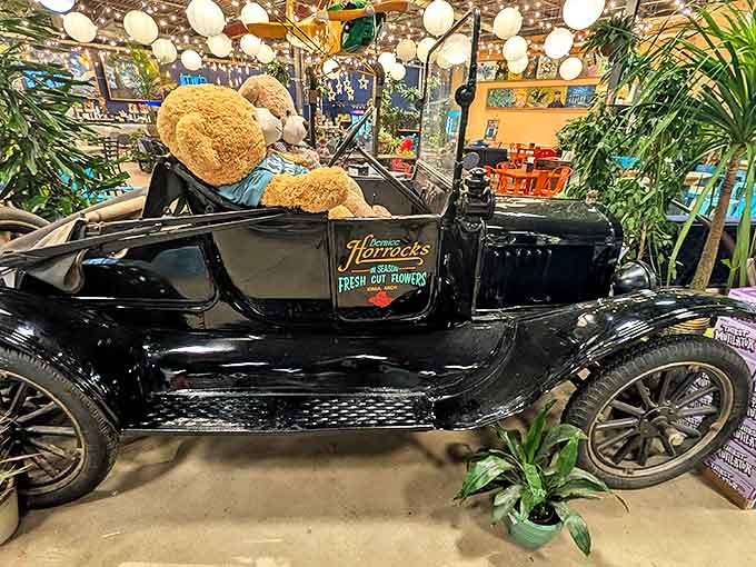 Vintage automobiles among the vegetables? At Horrocks, even transportation history gets a place of honor.