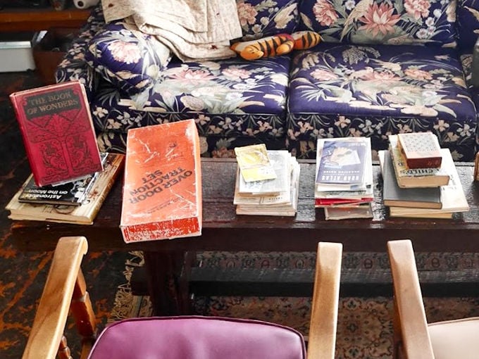 Vintage books stack up like literary time capsules, their worn covers and dog-eared pages hinting at countless readers who came before.