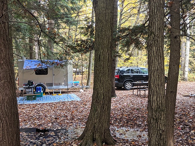 Camping among the pines offers a five-star natural accommodation experience, minus the turndown service and chocolate on your pillow.