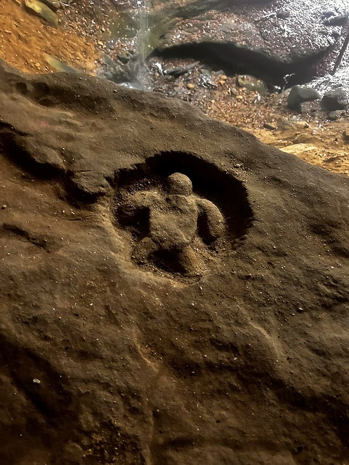 A perfectly preserved turtle petroglyph whispers tales of ancient visitors who left their mark without the benefit of Instagram or TripAdvisor.