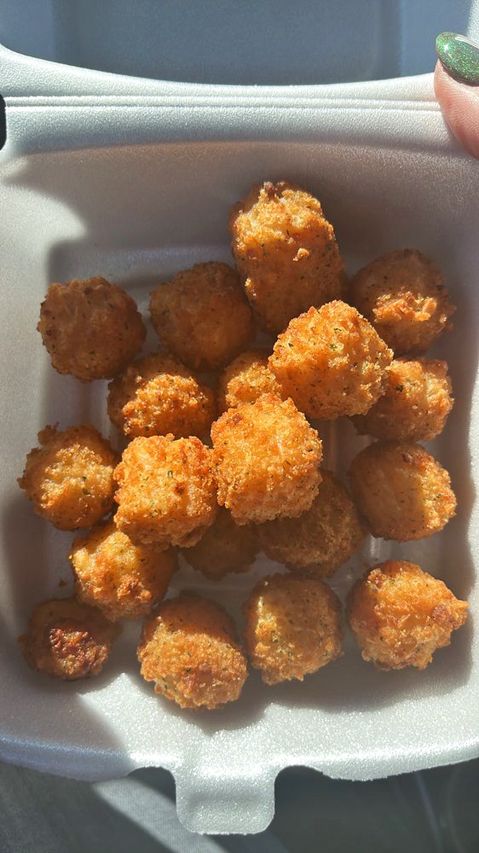 Wisconsin cheese curds done right &ndash; little nuggets of fried joy that squeak with authentic Midwestern pride.