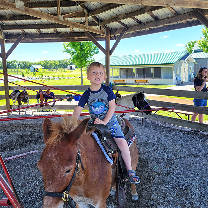 The timeless joy of a first horseback experience, even if it's just walking in circles.