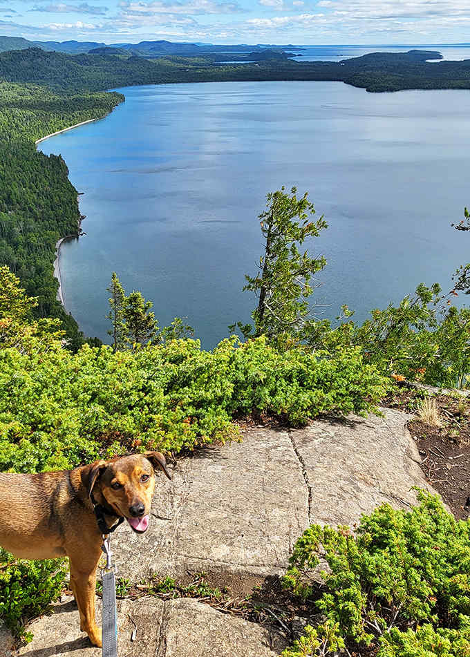 Even four-legged hikers appreciate the magnificent view, though they're probably more impressed by all the new smells up here.