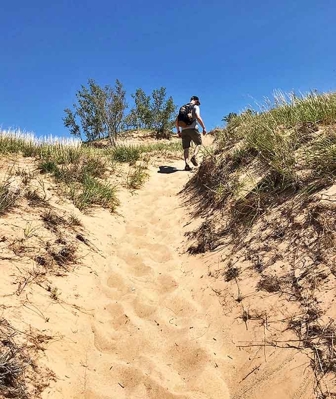 The uphill climb rewards persistent hikers with panoramic views that make burning calves a worthwhile sacrifice.