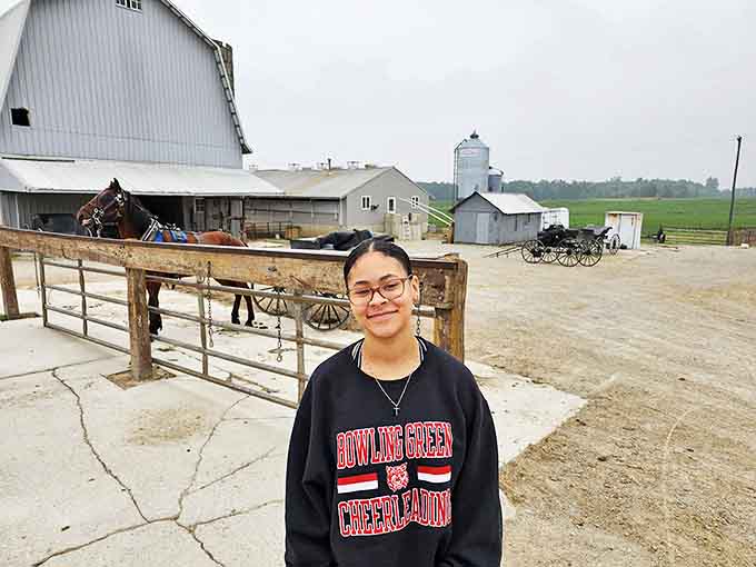 A glimpse of Amish farm life near the bakery. Where modern distractions fade away and the focus returns to craftsmanship and community.