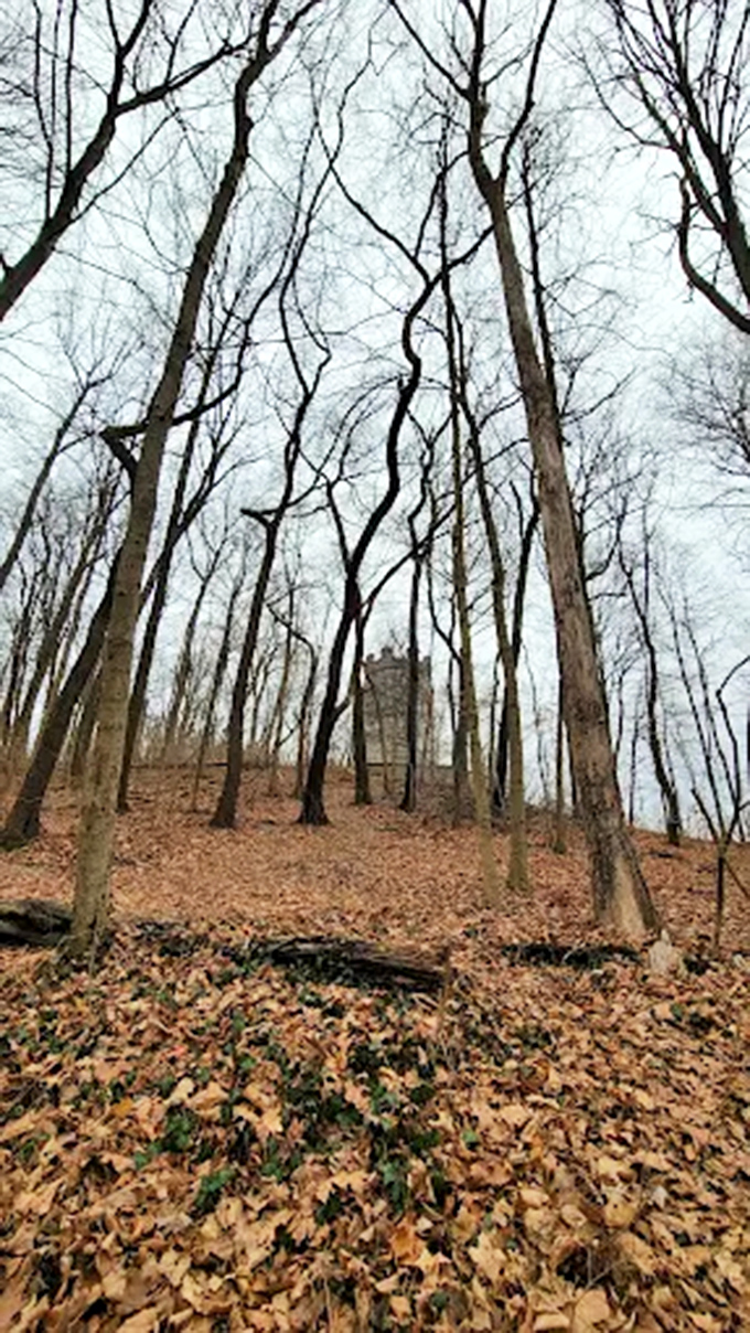 Nature slowly reclaims the approach to Frankenstein Castle, fallen leaves carpeting the forest floor in rustic splendor.