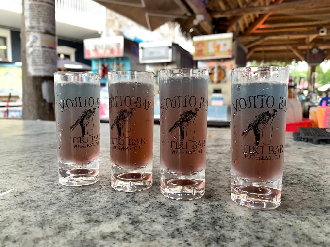 Shot glasses lined up like tiny soldiers, each bearing the Mojito Bay parrot&mdash;the unofficial mascot of good decisions and better stories.