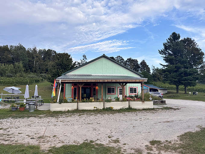 Green Bird Organic Cellars & Farm combines sustainable agriculture with wine production, creating beverages that taste good and feel virtuous.