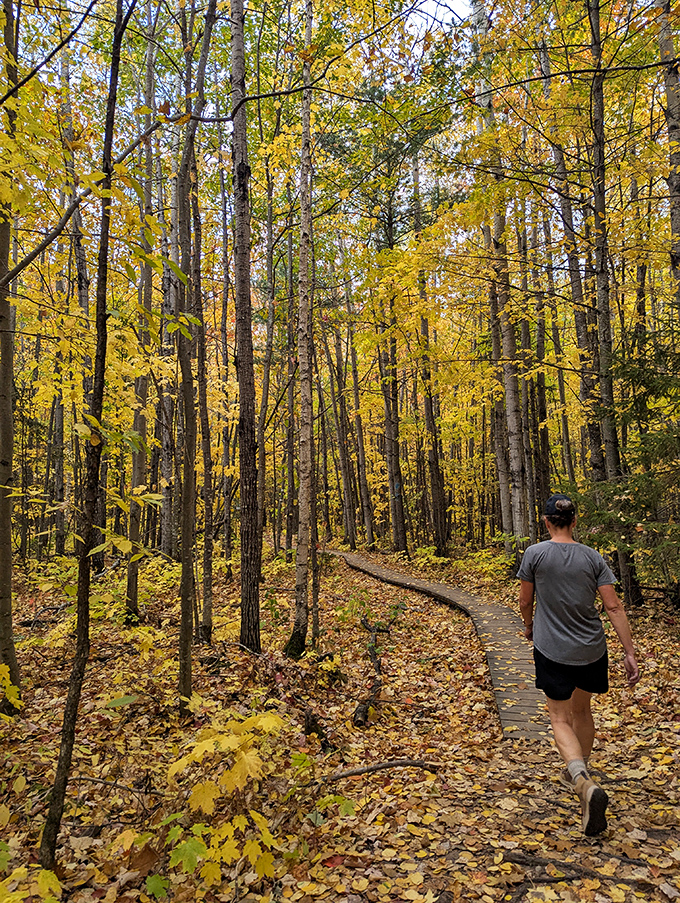 Water dances over ancient stone ledges, creating a natural curtain that's been performing the same show for thousands of years.