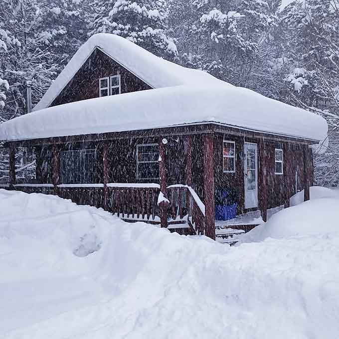 The Lazy Bear Cabin emerges from the woods like a modern masterpiece, where luxury meets wilderness without either having to compromise.
