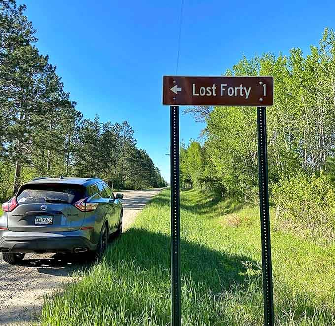 The sign to Lost Forty marks the entrance to one of Minnesota's most fascinating accidents – virgin forest preserved by a mapping error.