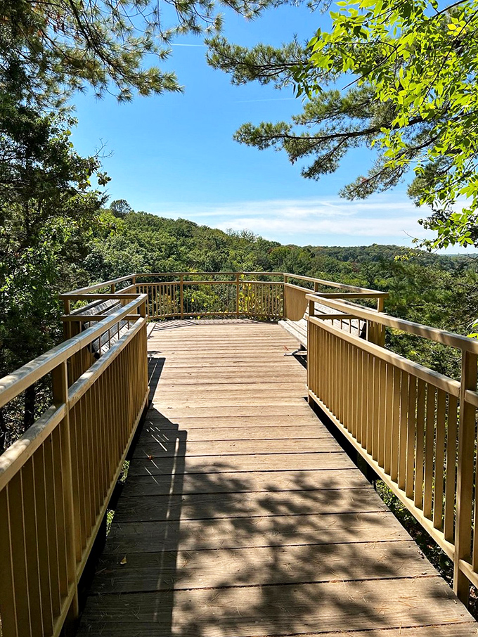 The observation deck offers breathtaking panoramic views across the tree-covered valley, revealing Wisconsin's surprising topography.