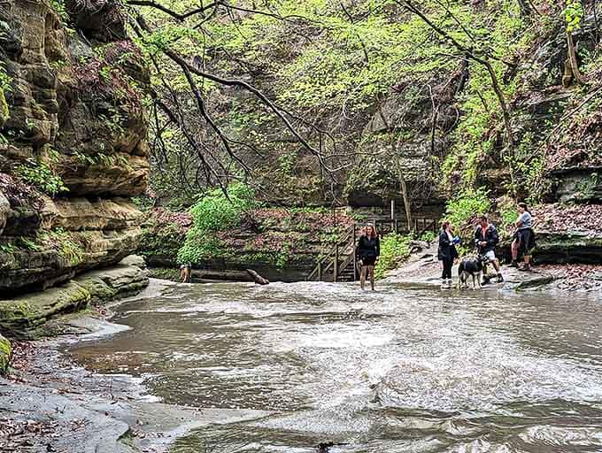 Hikers navigate the stream-carved pathways of Matthiessen State Park, where water has sculpted an intimate canyon experience that rivals its more famous neighbor.