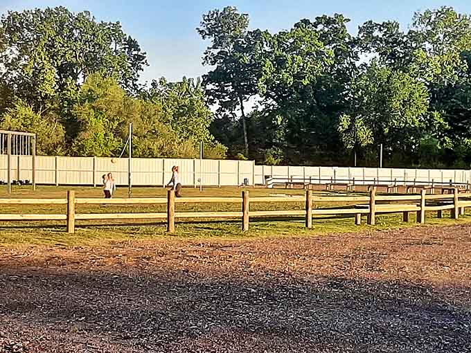 The simple wooden fence surrounding the viewing area creates a boundary between everyday life and the magical world of outdoor cinema.