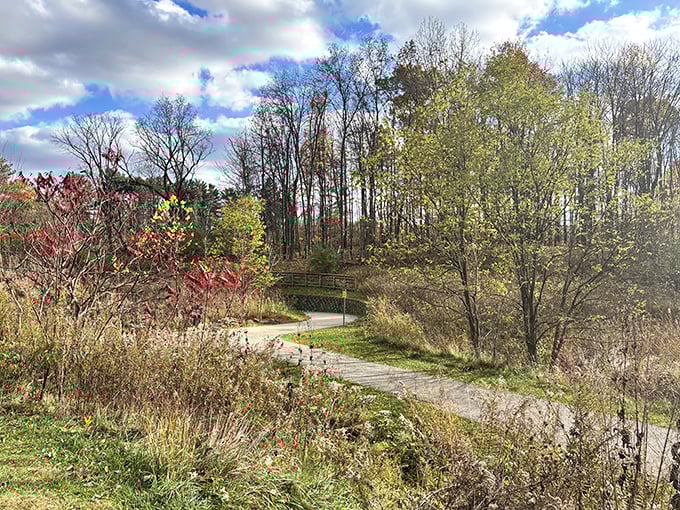 A peaceful trail lined with autumn color, creating a perfectly crisp and inviting fall escape.