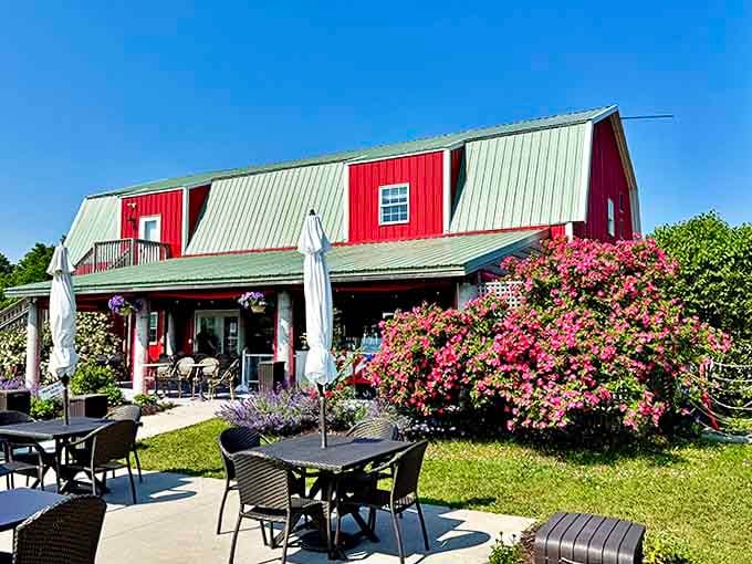 The iconic red barn stands proud against summer skies, like a crimson exclamation point in a paragraph of purple prose.