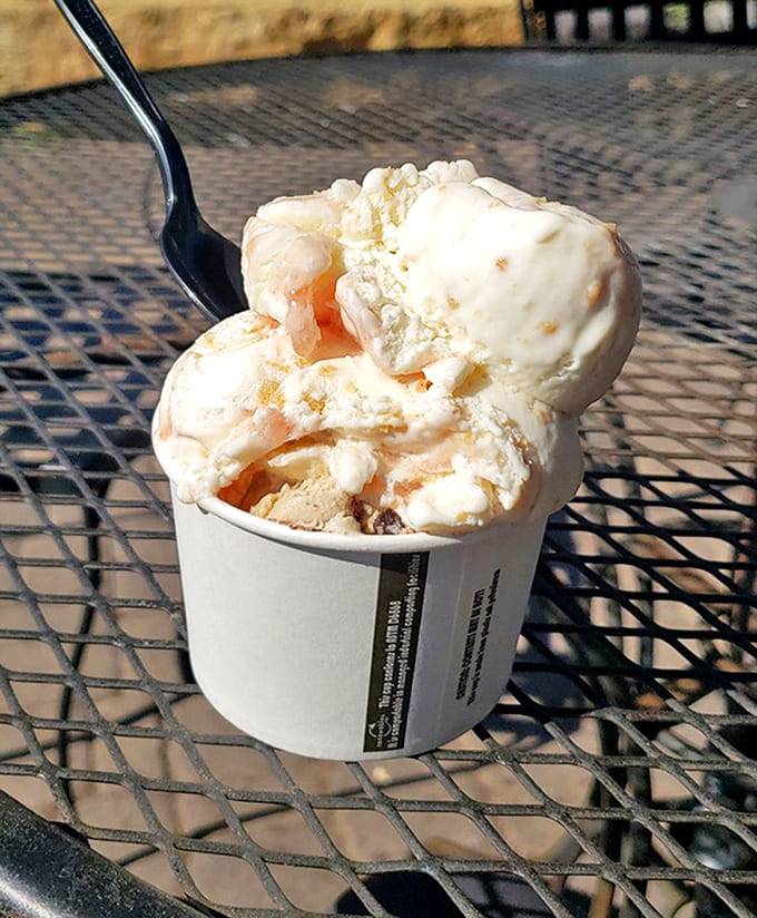 Creamy swirls hiding chunks of tangy treasure – this scoop transforms Minnesota's humble rhubarb into royal dessert treatment.