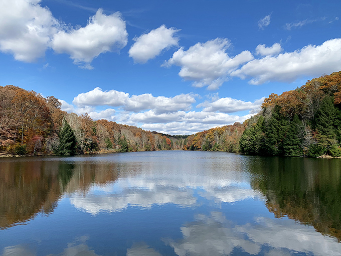Rose Lake mirrors autumn's fiery palette, doubling the visual impact of fall's most spectacular color show.