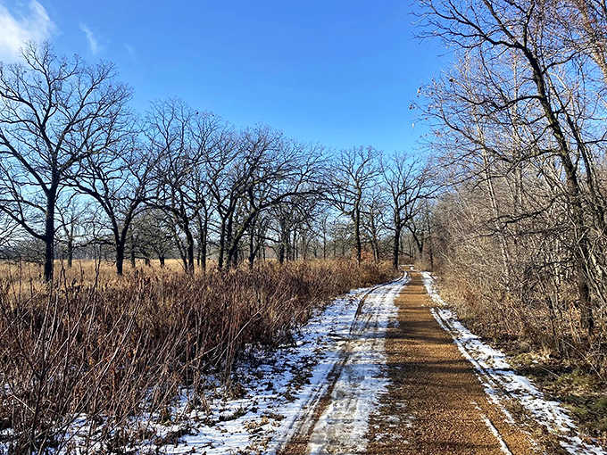 Winter's gentle touch transforms the trail into a monochromatic masterpiece, proving Minnesota looks good in white.