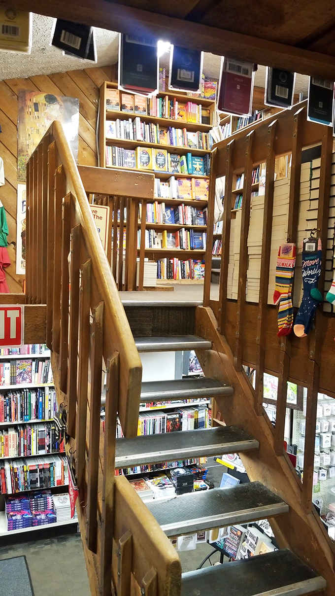 Wooden steps lead adventurous readers to new literary territories, with books lining every available surface like literary wallpaper.