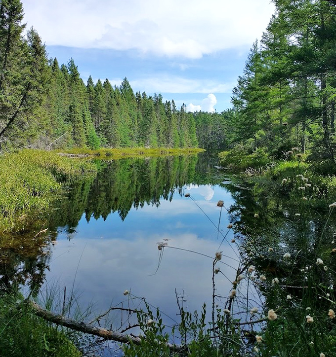 Mirror-like waters reflect the surrounding forest, creating a perfect symmetry that feels almost too perfect to be natural.