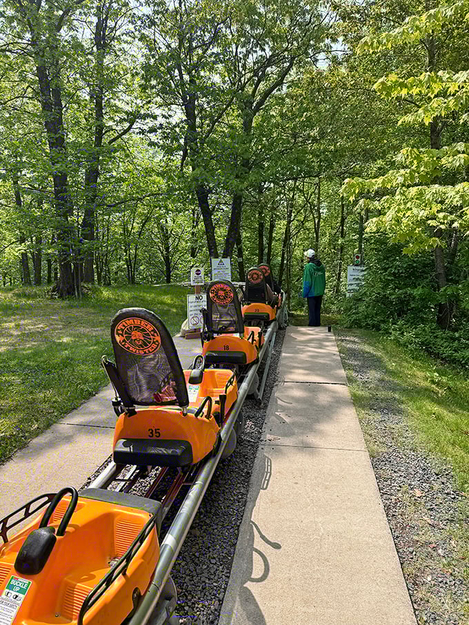 Bright yellow coaster cars await their next adventure through Minnesota's emerald canopy&mdash;like taxicabs for squirrels, but with way better views.