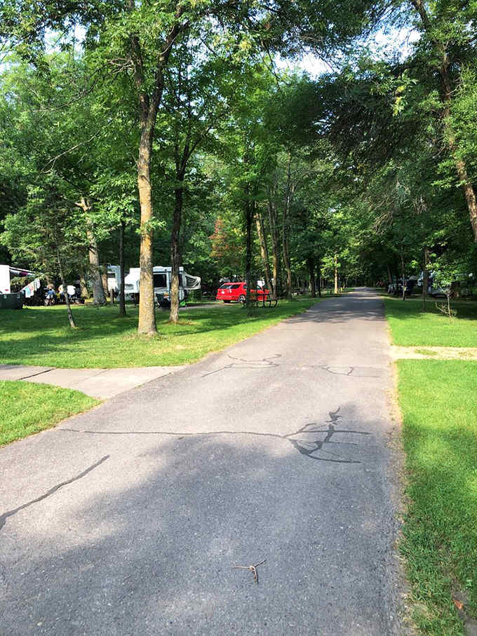 Tree-lined pathways through the campground offer shade and serenity, connecting nature lovers to their next discovery.