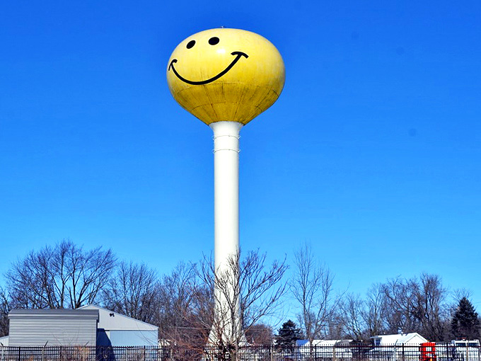 Even against winter's bare branches, that smile radiates warmth &ndash; a splash of sunshine preserved for the coldest Illinois days.