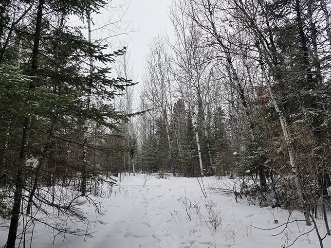 Winter transforms the Mesabi Trail into a hushed wonderland where footprints tell stories of those brave enough to explore the snow-blanketed landscape.