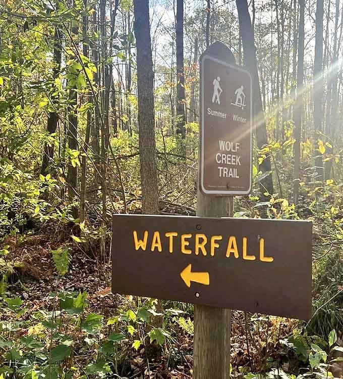 Follow the signs and you'll find treasure &ndash; though the real reward is often in the journey itself, not just the destination.