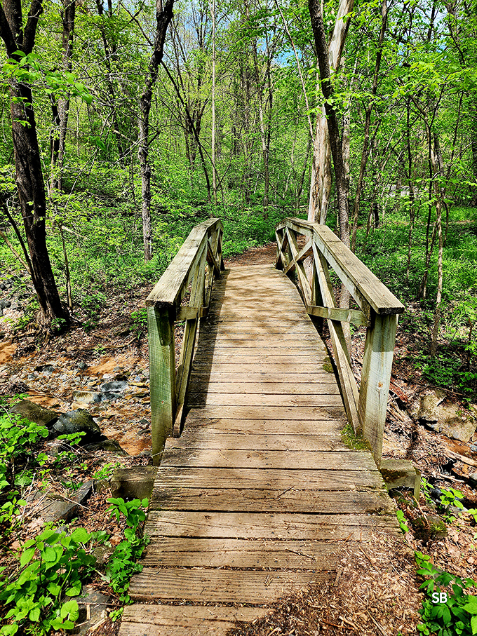 Simple wooden bridges connect not just riverbanks but present to past, inviting modern feet to tread where ancient waters once carved paths.