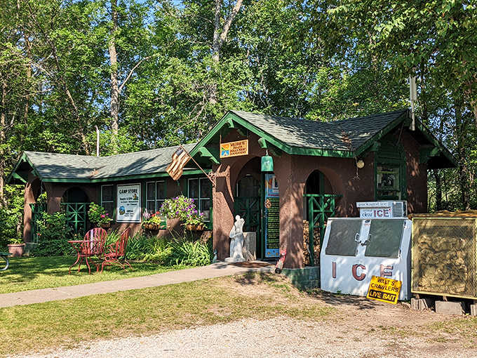 This charming woodland cabin serves as command central for camping necessities, local wisdom, and the occasional ice cream emergency.