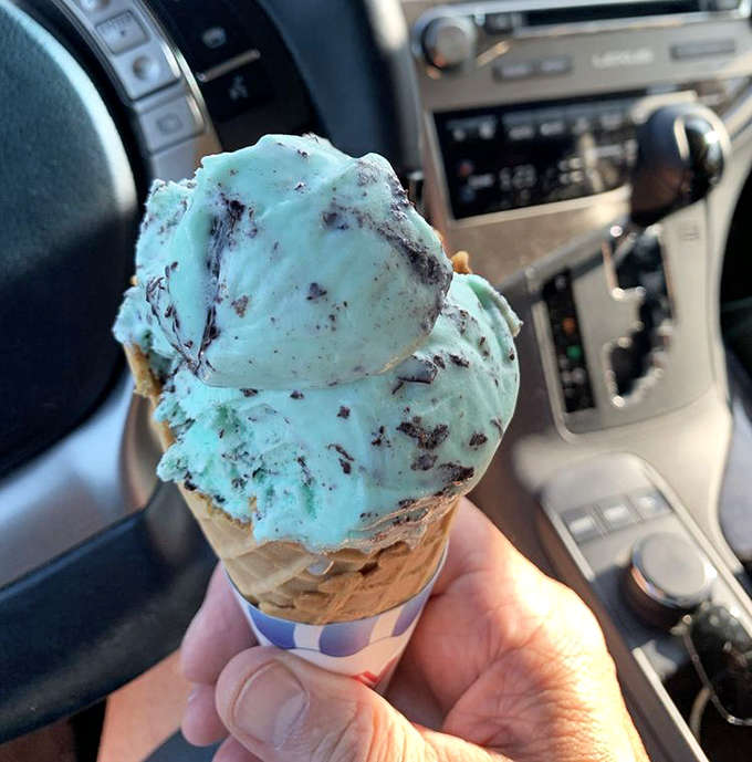 Mint chocolate chip ice cream enjoyed in a car &ndash; the ultimate Michigan road trip companion that makes traffic jams bearable.