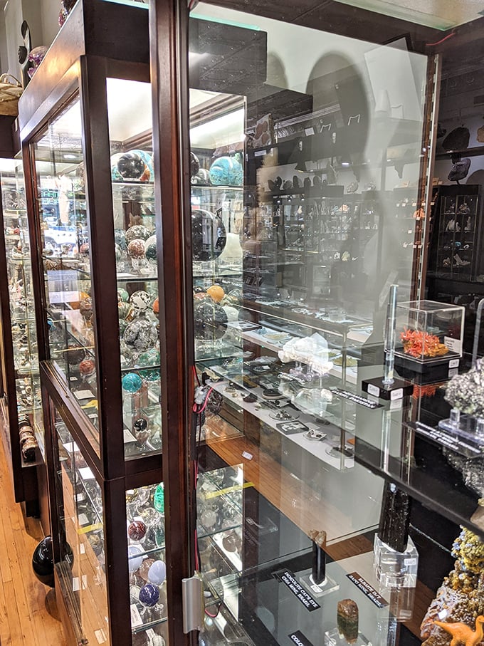 Glass cabinets stretch from floor to ceiling, each shelf a different chapter in Earth's spectacular geological autobiography.