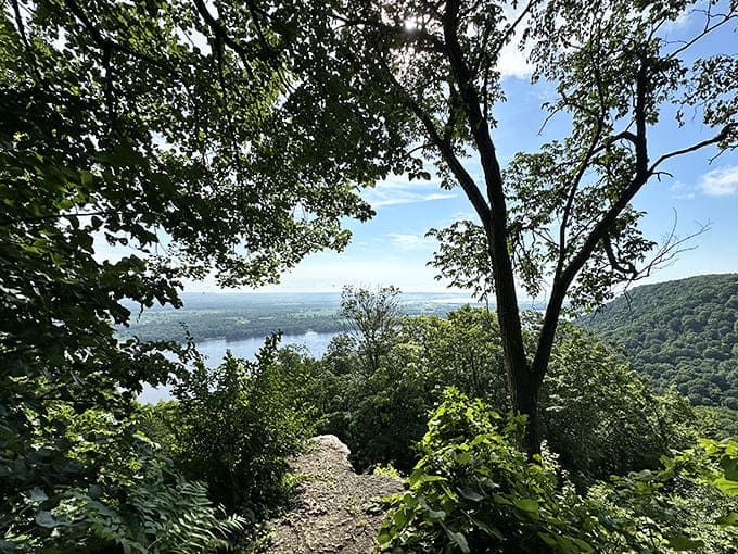 The trail occasionally flirts with the bluff's edge, offering heart-stopping glimpses that make you feel wonderfully small in the world.
