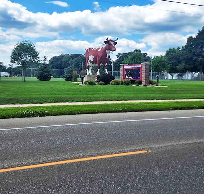 Against puffy clouds and green fairgrounds, Buffy stands sentinel by the roadside, stopping traffic with her bovine magnificence.