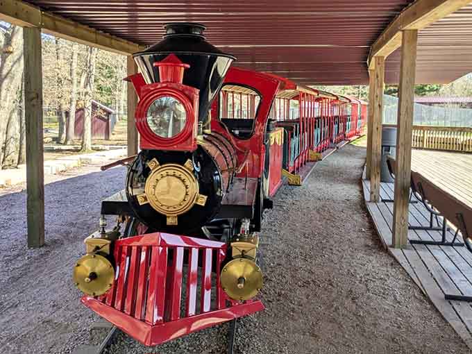 All aboard the safari train, where even the transportation becomes part of the adventure at Timbavati Wildlife Park.