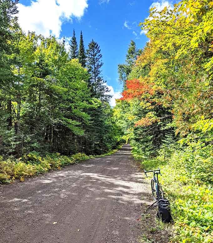 Nature's invitation: a dirt path winds through early autumn foliage, a bicycle patiently waiting for its next adventure.