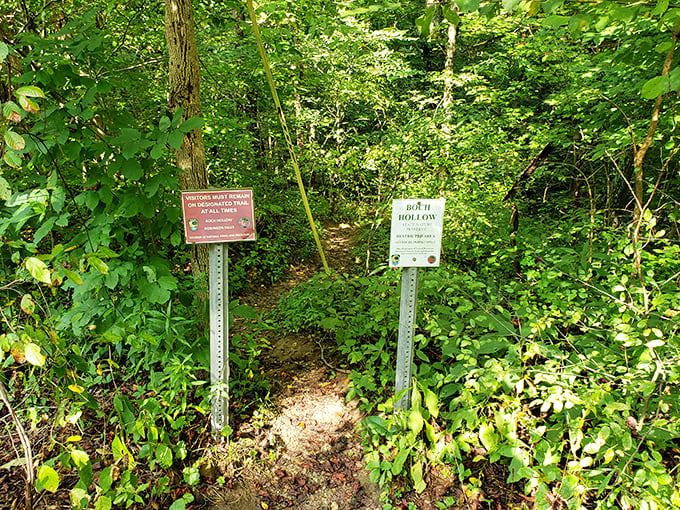 Gateway to adventure: these unassuming signs mark the threshold between ordinary hiking and extraordinary discovery in Ohio's hidden wilderness.