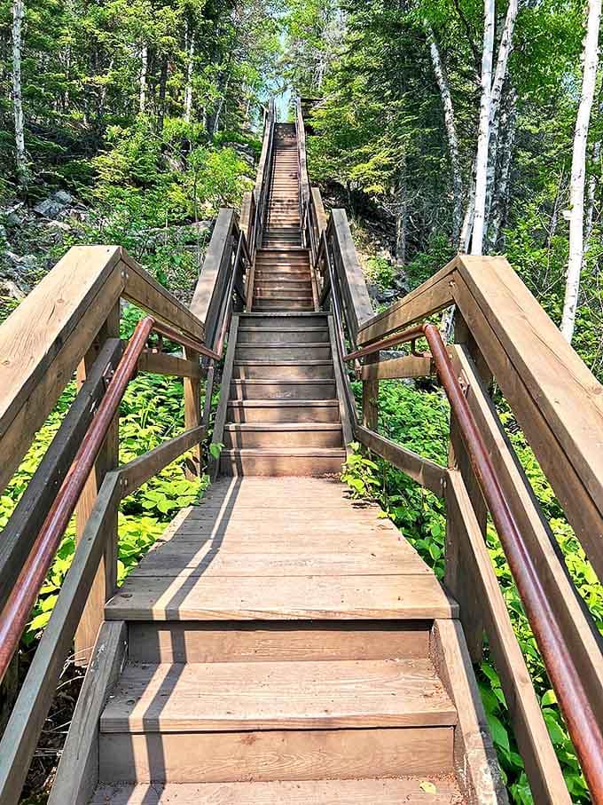 Stairway to heaven? These wooden steps lead adventurers through the forest to rewarding panoramas that make every step worthwhile.