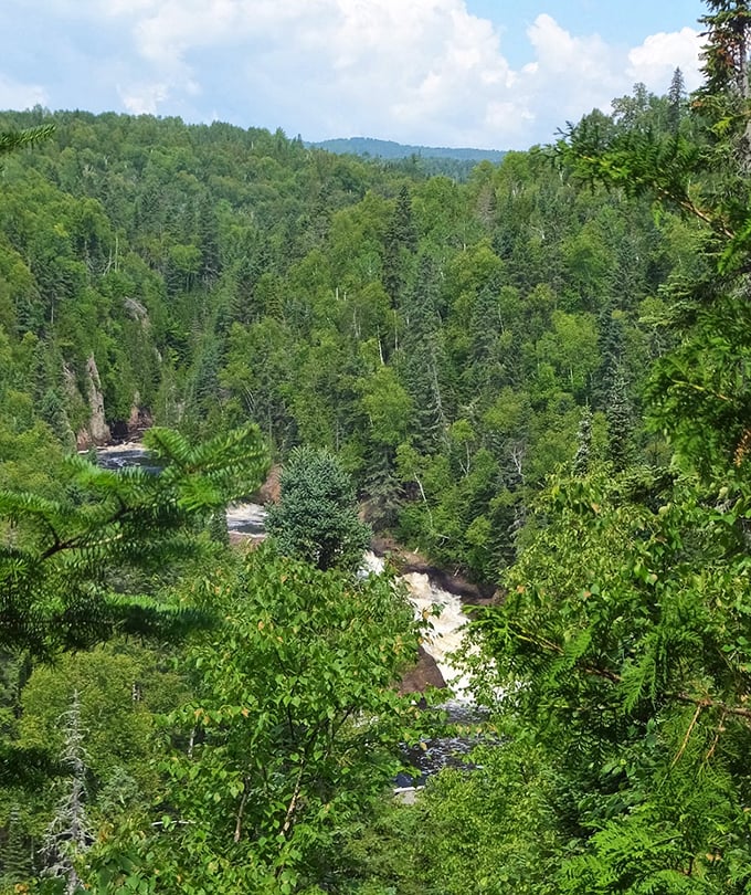 Trees: The view from above reveals the Brule River gorge cutting through Minnesota's northern forest, a landscape shaped by ancient volcanic activity.