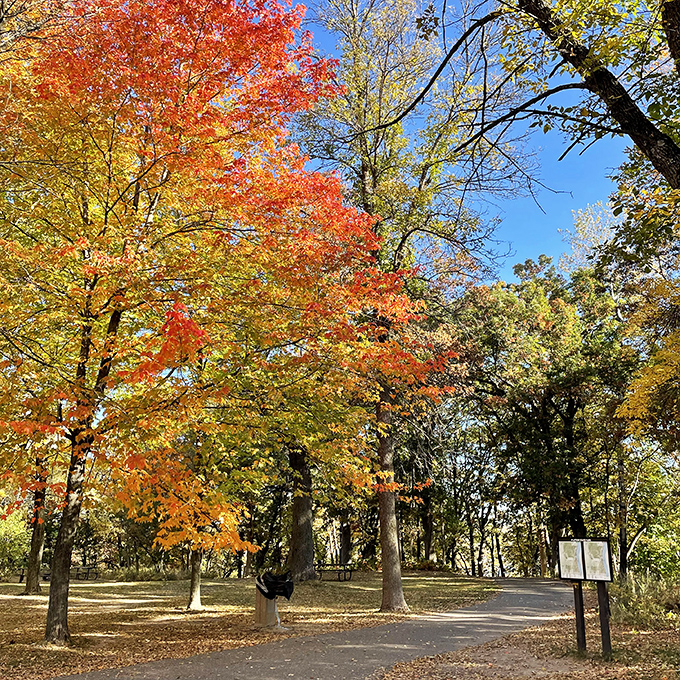 Sunlight filters through a canopy of autumn leaves, creating nature's stained glass window above a winding park pathway.