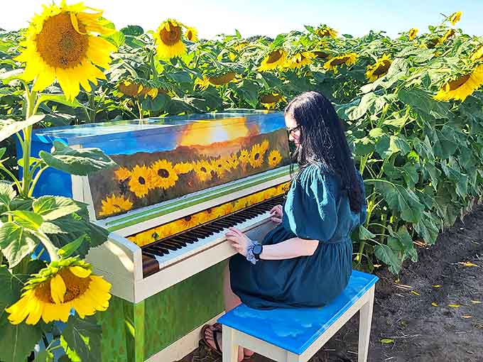 A visitor creates an impromptu concert among the sunflowers, her melody drifting across acres of nodding golden heads.