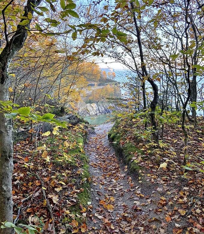 Autumn transforms this trail into a golden pathway, where fallen leaves carpet your journey toward Spray Falls' thunderous crescendo.