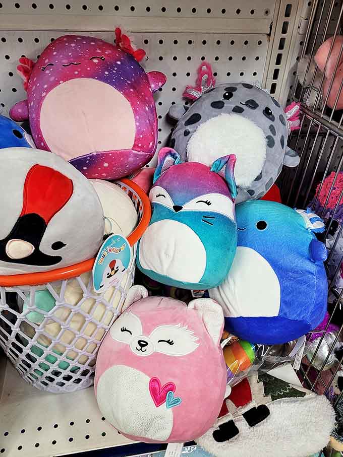 Colorful plush companions huddle together, each hoping to be the chosen one for cuddles and childhood adventures.