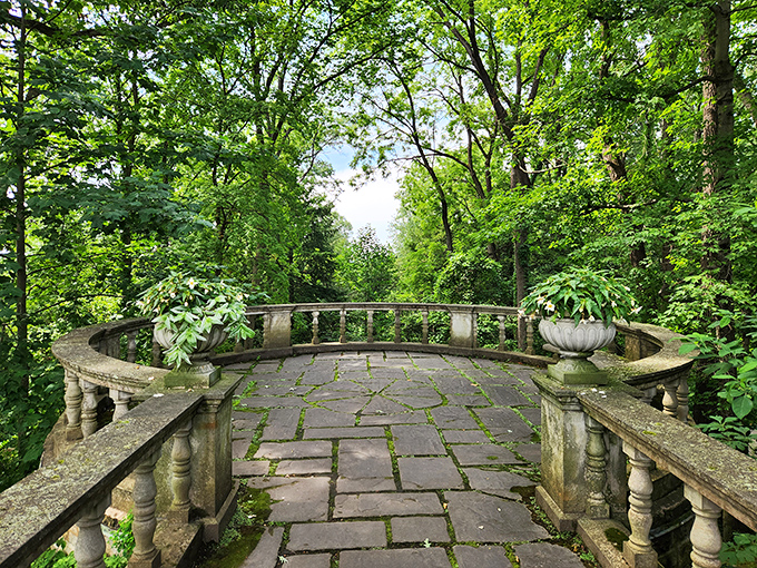 A peaceful stone overlook invites quiet moments amid the surrounding canopy of summer green.