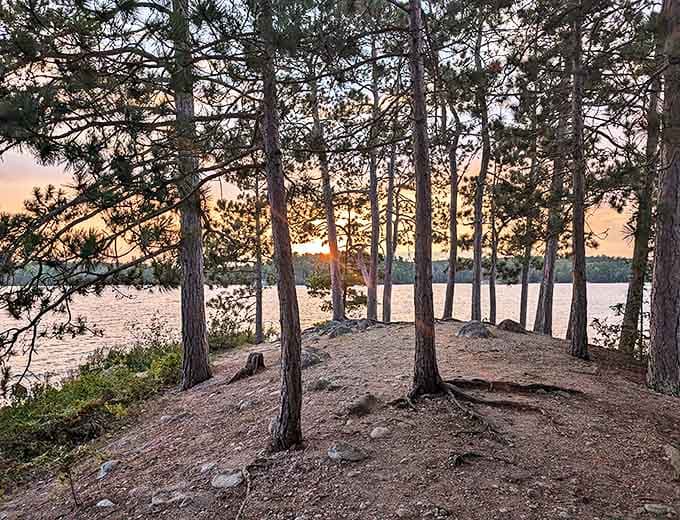 The Boundary Waters' pristine lakes and pine forests create moments of perfect tranquility, where sunset paints the water in liquid gold.