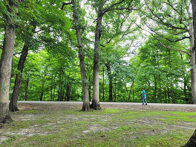 Forest bathing, Midwest style &ndash; where the therapeutic benefits of nature come without a spa price tag.
