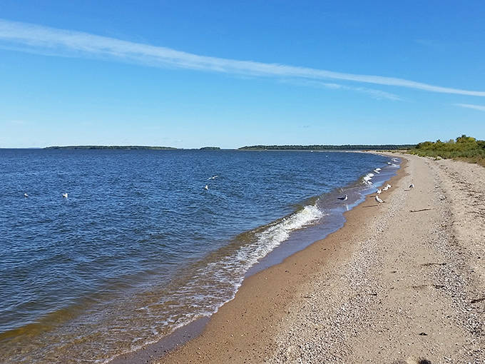 The meeting of land and water creates a perfect boundary between civilization and wilderness along Garden Island's shore.