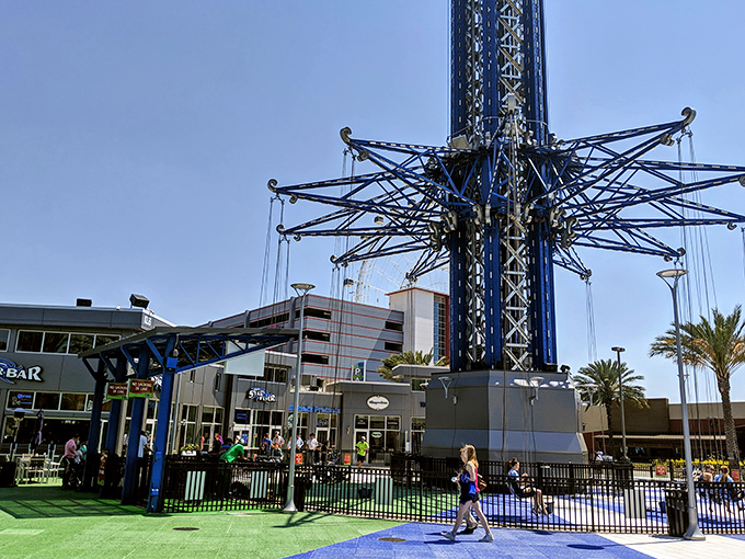 Orlando unfolds beneath swinging feet – a patchwork of attractions, waterways, and possibilities seen from nature's original drone perspective.